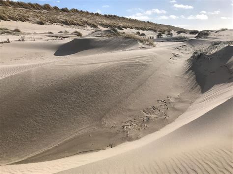 Vakantie In De Duinen Kamperen Of Een Huisje Huren