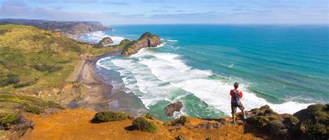 Lilac Beared Iris Close Up 1 Elkli And Hart