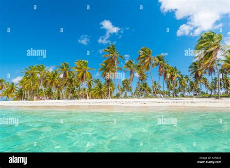 Canto De La Playa Saona Island East National Park Parque Nacional