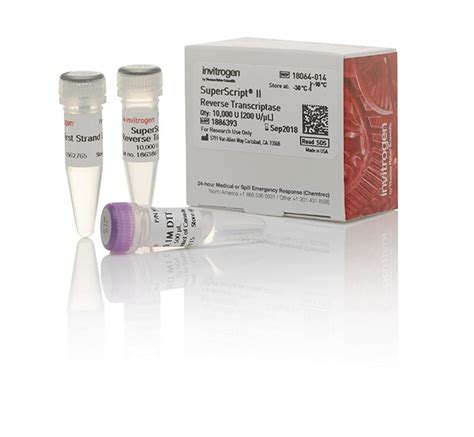 Superscript™ Ii Reverse Transcriptase 50 Reactions Buy Online Invitrogen™