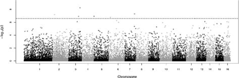 Manhattan Plot Using The Minuslogp Values Of The 26 007 Download