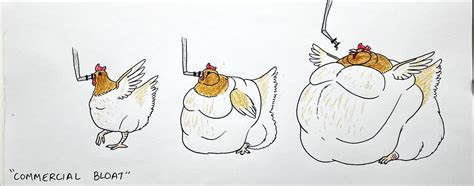 The Big Imageboard Tbib Avian Bird Chicken Degen Gulch Expansion