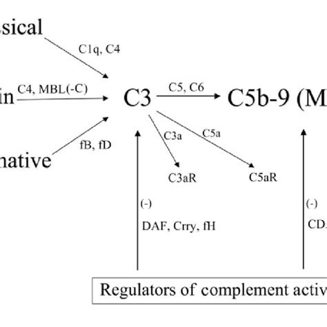 Factor H And Complement Profile Before And Following Plasma Infusion