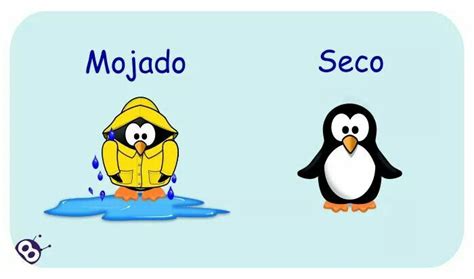 Mojado Seco Opuestos Preescolar Actividades Matemáticas