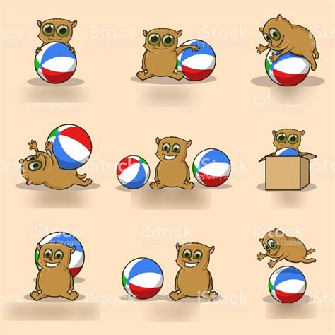 Preposition Diagram Quizlet