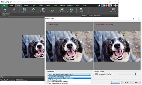 Download Photopad Image Editor 6 55 For Windows