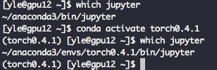 Jupyter Kernel Cannot Be Started From Python Bit Torch Conda Issue