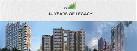 Mallow Are You Planning To Develop Your Cross Platform App Using