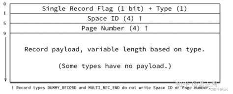 mysql源码分析——innodb的磁盘结构之日志文件格式分析 iblogfile0和iblogfile1 csdn博客