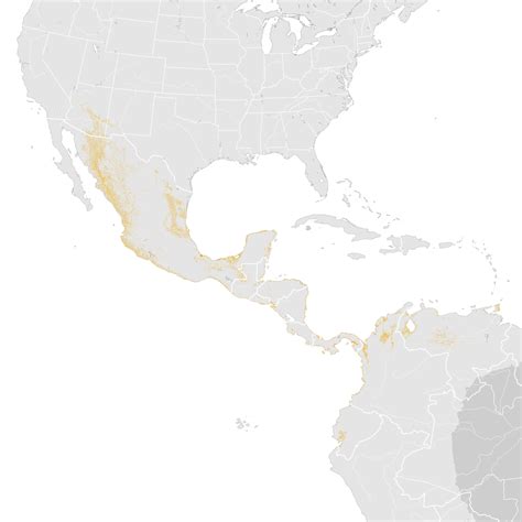 Common Black Hawk Abundance Map Post Breeding Migration Ebird