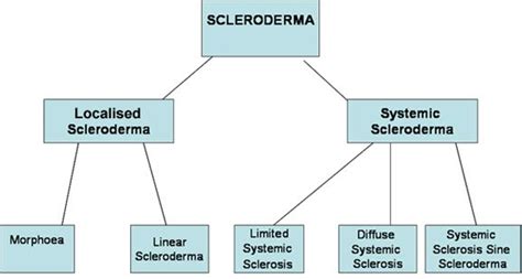 Classification Of Sclerodermait Is So Important To Know Where You Classification Of Sclerodermait Is So Important To Know Where You