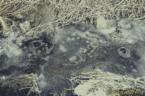 In A State Of Devolution