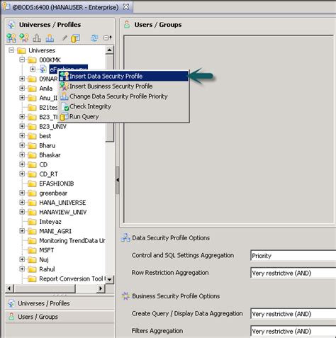 sap idt security