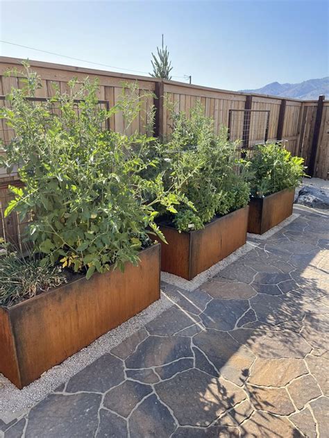 Modern Planters With Built In Trellis