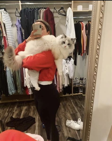 Pokimanes Huge Pussy Scrolller