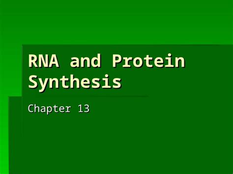 Ppt Rna And Protein Synthesis Chapter 13 Why Do We Need Rna Dna Cannot Leave The Nucleus Dna