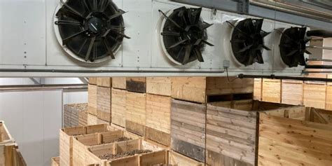 Co2 Sensors Safeguard Potatoes For Processing Potato Business