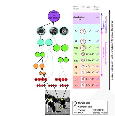 10 Bio Inspired Object Recognition System Based On The Processing Of