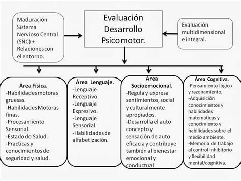 ¿qué Sé Sobre El Desarrollo Psicomotor Desarrollo Psicomotor Y