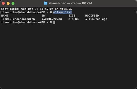 How To Run Nsfw Ai Chat Locally Using Ollma Cli Rprp Ai Nsfw Ai