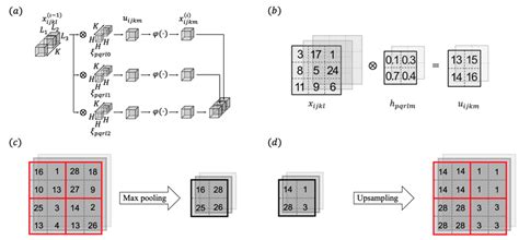 Internal Procedure Of Convolutional Neural Network A Download Scientific Diagram