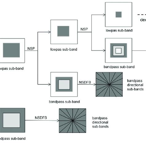 decomposition process of nsct decomposition process of nsct