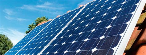 Services Terrestrial Holdings