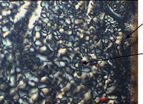 Polarizing Microscope Photo Of Pp Plastic Parts Download Scientific Diagram Polarizing Microscope Photo Of Pp Plastic Parts Download Scientific Diagram