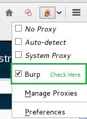 Burp Suite Tutorial Web Pentesting Beginners Guide