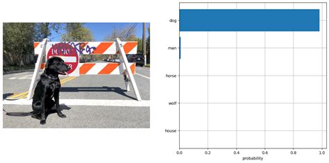 Zero Shot Image Classification With Openai Clip And Openvino