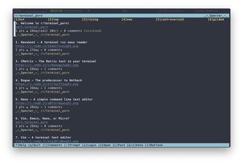 ttrv terminal reddit viewer r terminal porn