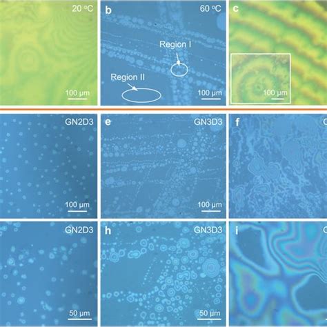 Visualization Of Microphase Separation By Fluorescent Microscopy