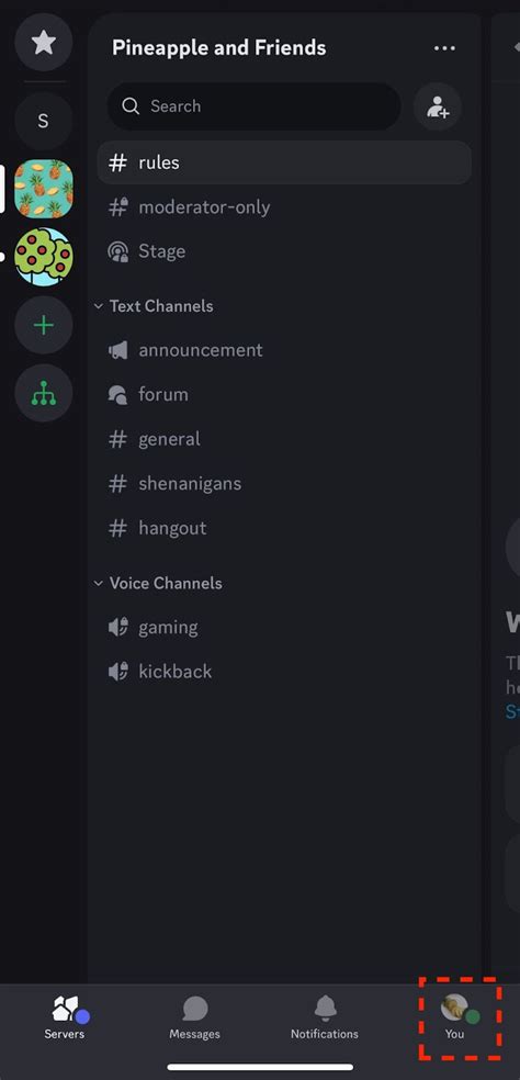 Getting Started On Mobile Discord