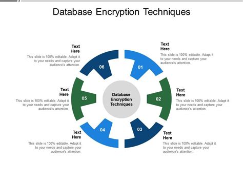 database encryption techniques ppt powerpoint presentation styles