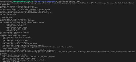 usage of training · huggingface pytorch image models · discussion 1165
