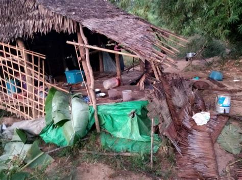 ဂွမြို့၊ ရဟိုင်ဖျားကျေးရွာ အုပ်စုတွင် တောဆင်ရိုင်းများ ဝင်ရောက