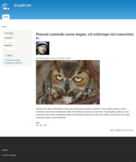Nodehtmltwig Template 2004252