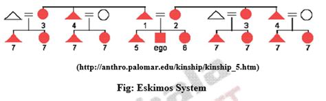 Kinship Descent And Alliance Kinshipterms Social Cultural Anthropology