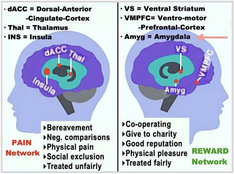 MBTI Introvert Vs Extrovert ANATOMY Part HEAL GROW For ACoAs