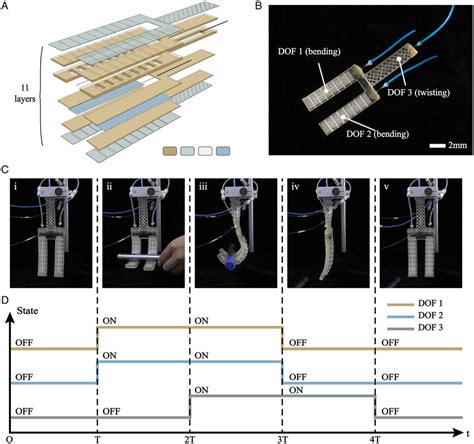 Pneumatic Soft Actuator With Twisting Bending Actuations For Download Scientific Diagram