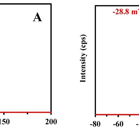 A Dls Measurements And B Zeta Potential Analysis Of Aunps 105