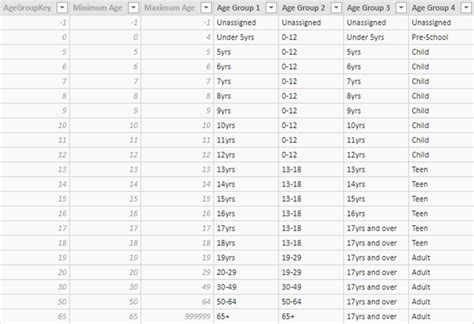 How To Sort Multiple Sets Of Age Groups In Power BI Magnetism Solutions NZ Auckland