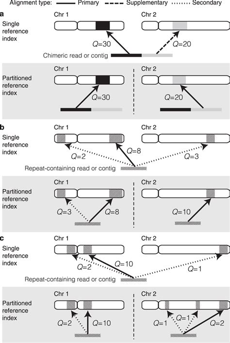 Effect Of Aligning Sequences To Single Vs Partitioned Indexes Uniquely