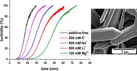 The Effects Of Inorganic Additives On The Nucleation And Growth Kinetics Of Calcium Sulfate