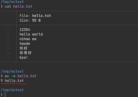 Linux命令学习之wc Im Company