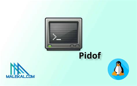 commande pidof sous linux obtenir le pid d un processus