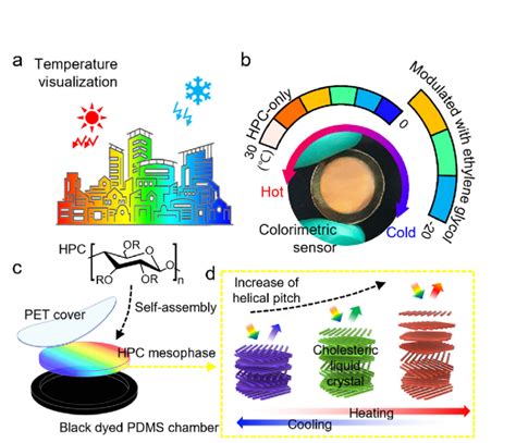 Sensor Concept And Design A Illustration Showing The Concept And