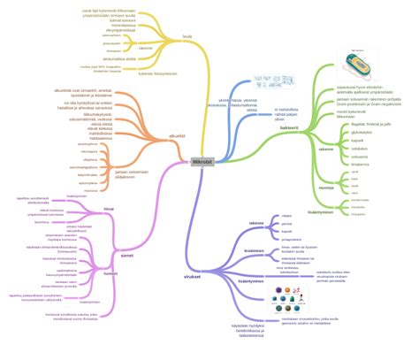 Mikrobit Coggle Diagram