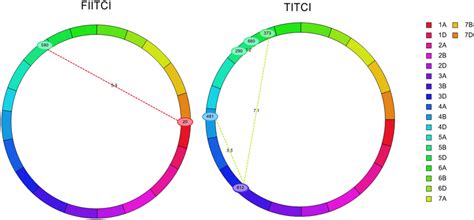Epistatic Qtl Analysis For The First Internode Component Index Fiitci