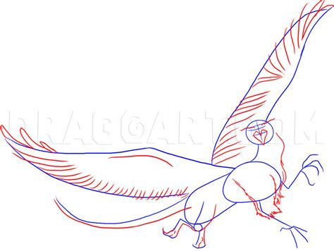 How To Draw Cute Griffin How To Draw Step By Step For Learn How To